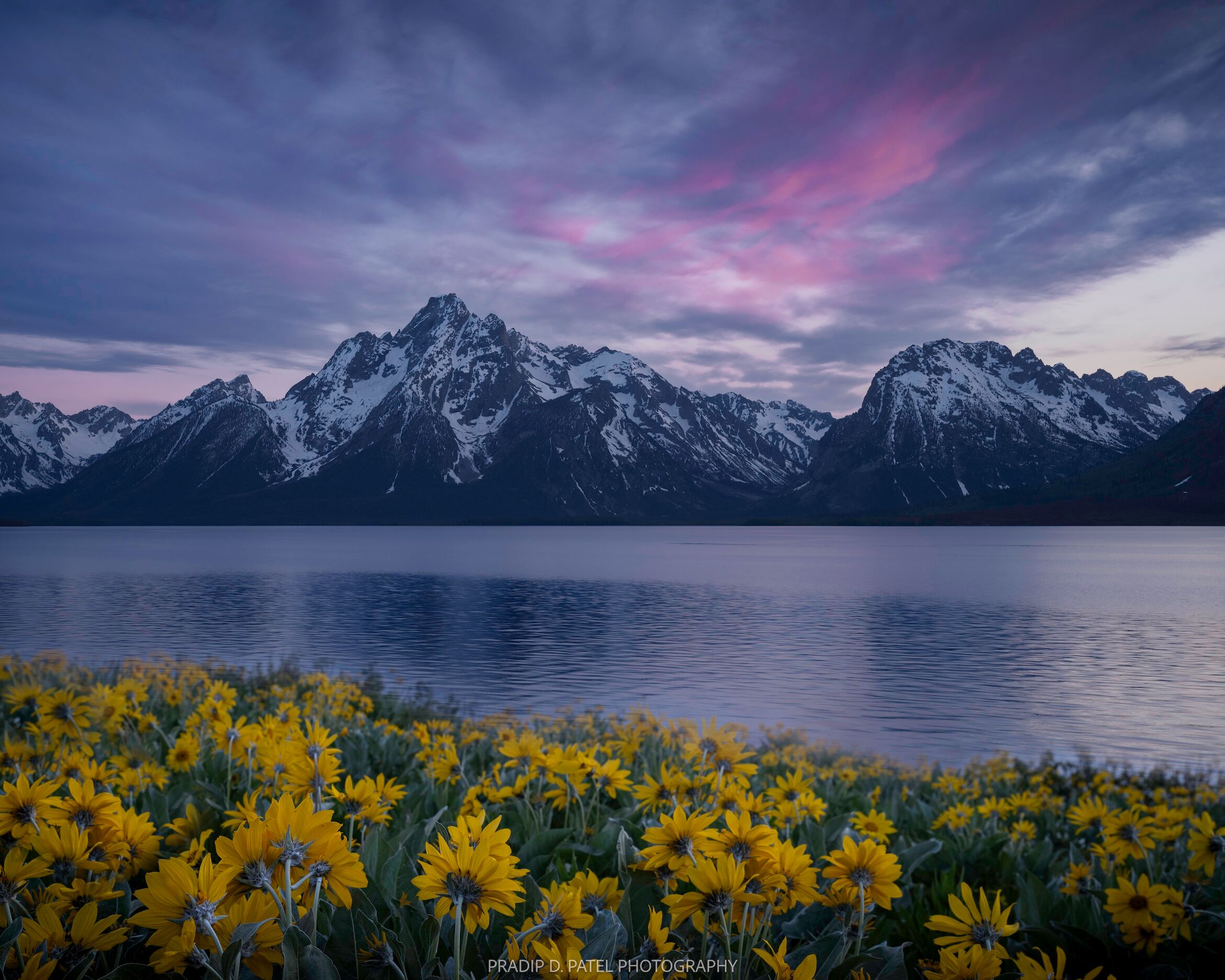 Meet Pradip Patel: ICON’s New Learning Navigator | Elevating